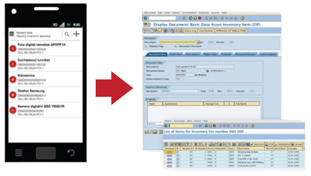 mAsset Management - Primoris Systems